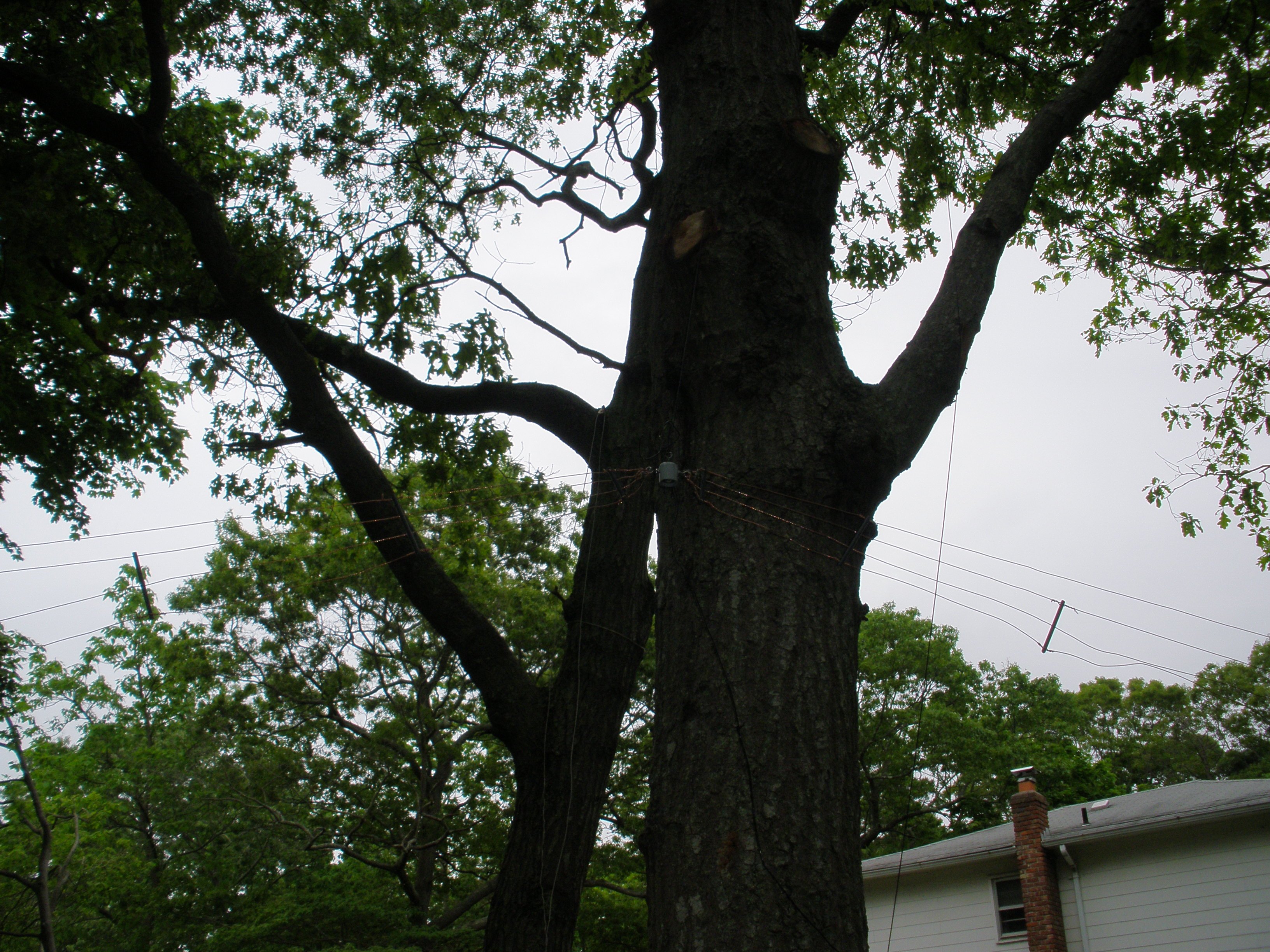 Multiband HF Dipole
